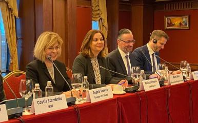 Energo-Pro :: ЕНЕРГО-ПРО постави въпроса за сигурността на мрежите в ...